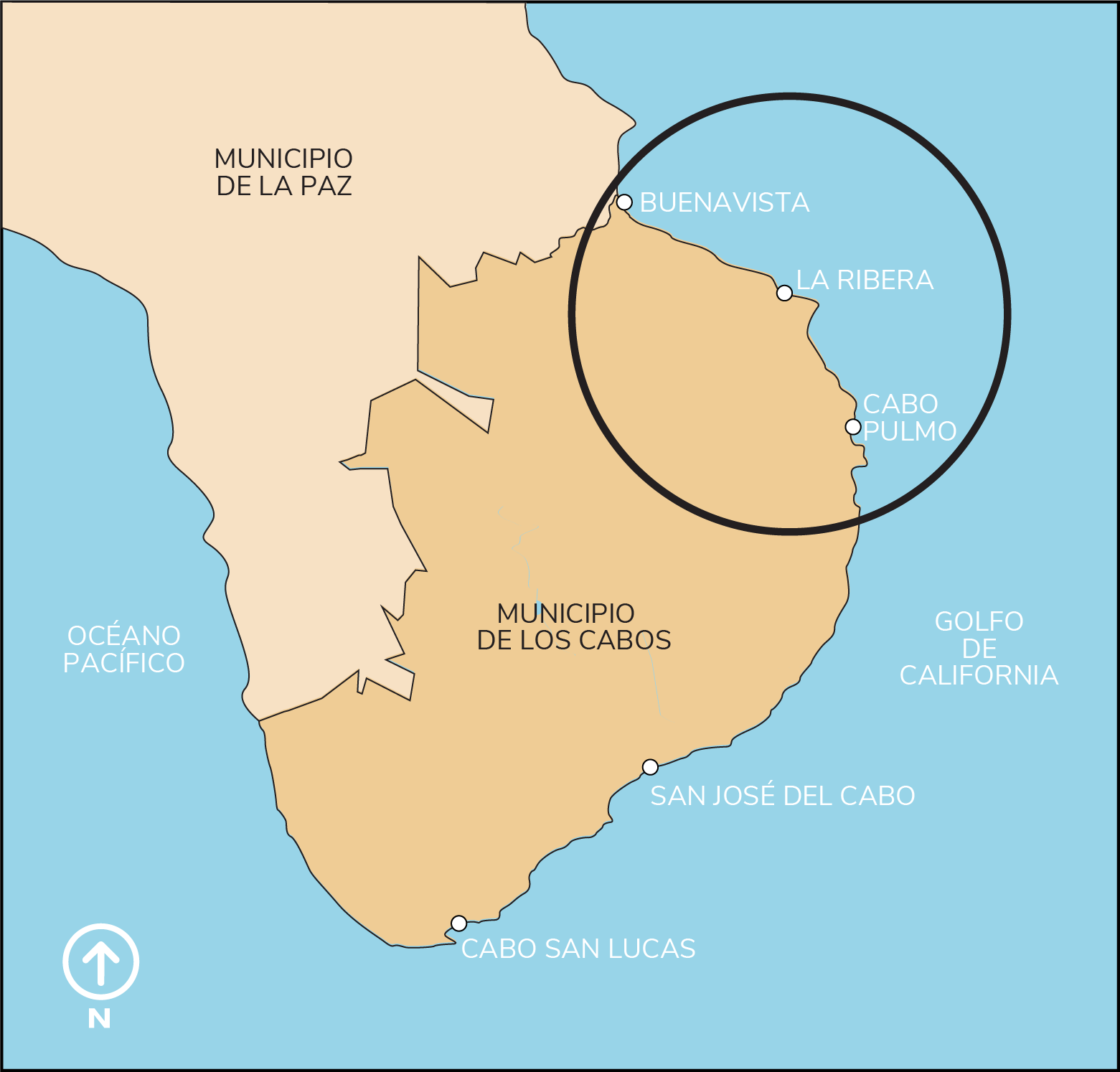 CABO DEL ESTE – Cabo Pulmo Vivo